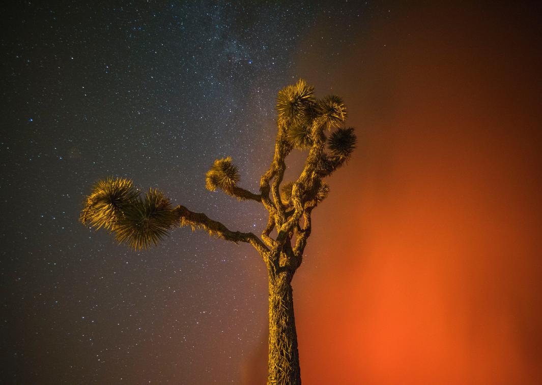 Stuart Palley California wildfire photos: Photographer captures ...