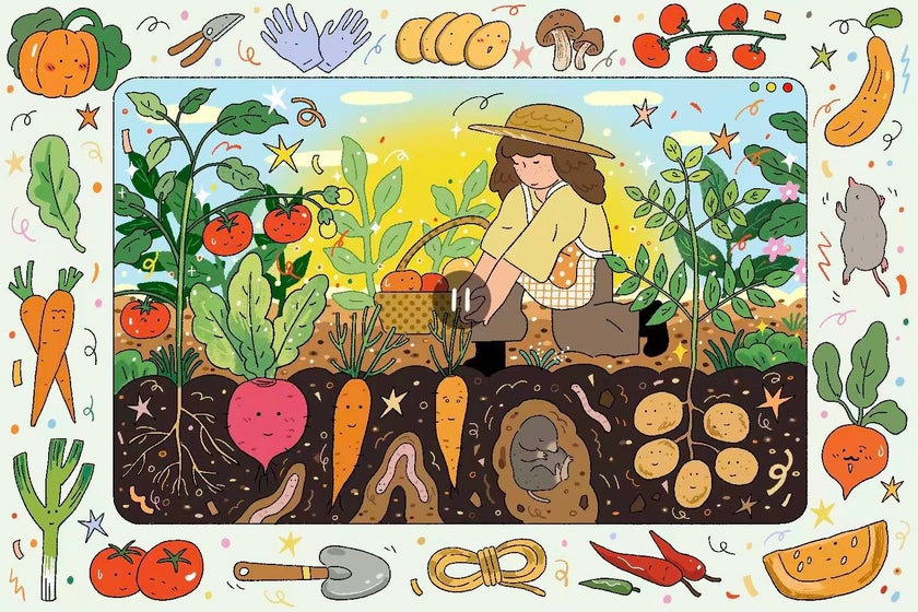 Best gardening shows: Zach Galifiankis’ Netflix show can’t compare to ...