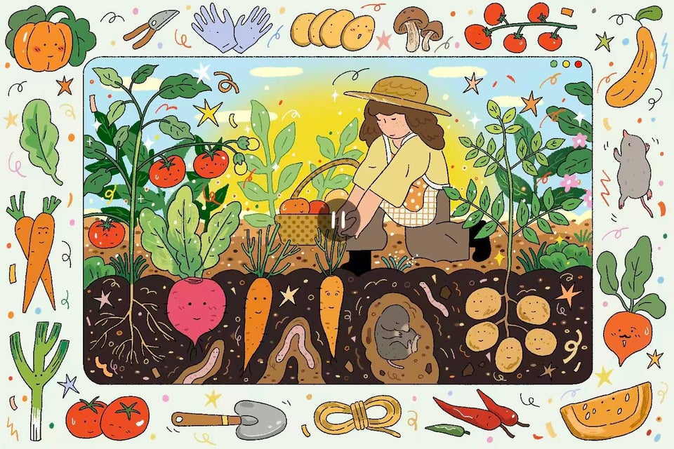 Best gardening shows: Zach Galifiankis’ Netflix show can’t compare to ...