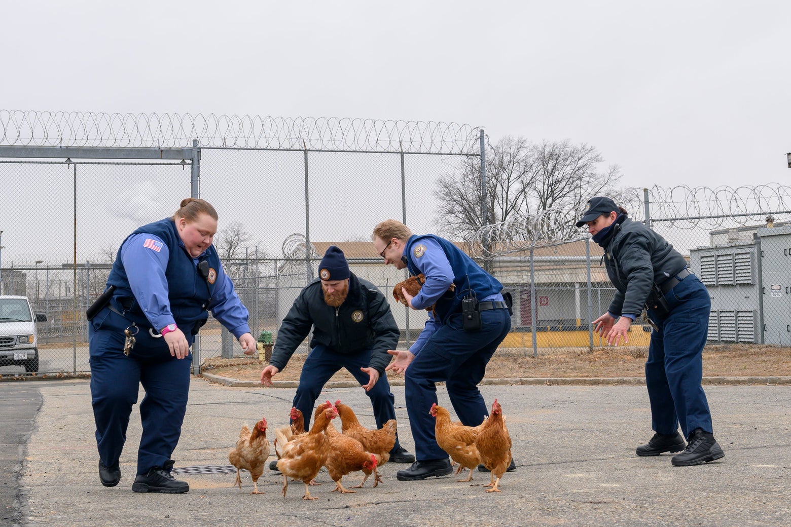 Orange Is the New Black chickens: Can they really smuggle drugs? The ...
