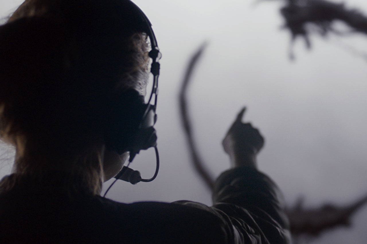 If we need to communicate with aliens, we should introduce them to our ...