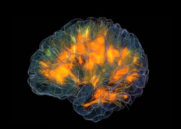 Glass Brain project video: Take a live tour of your own brain in real time.