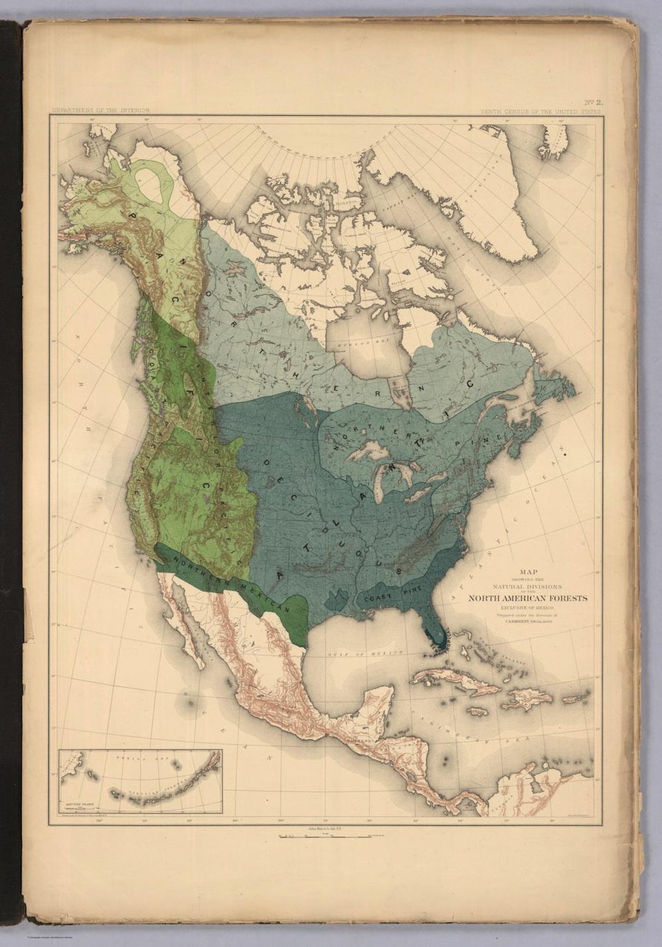 History of American Forests: Tree maps made for 1884 census.