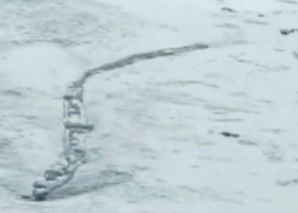 The Nessie Monster revealed... | Jgg's Civil War Talk, Debate, Learn ...