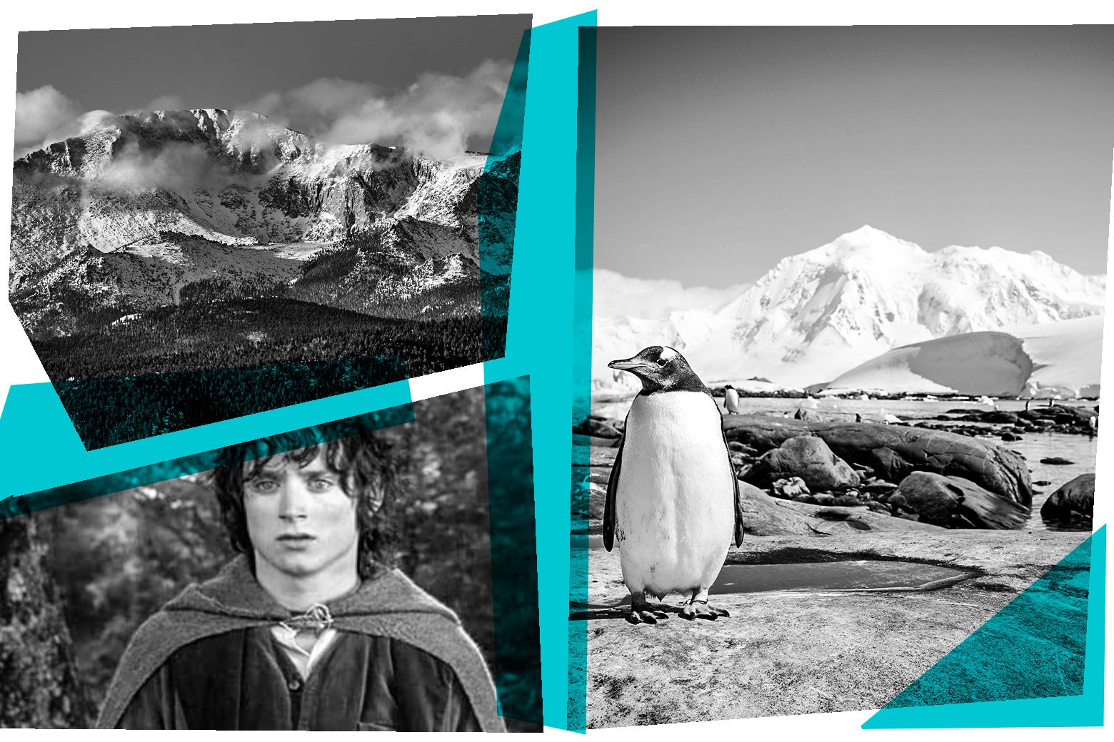 Slate Quiz The Hardest Trivia You ll Answer All Week slate-quiz-the-hardest-trivia-you-ll-answer-all-week