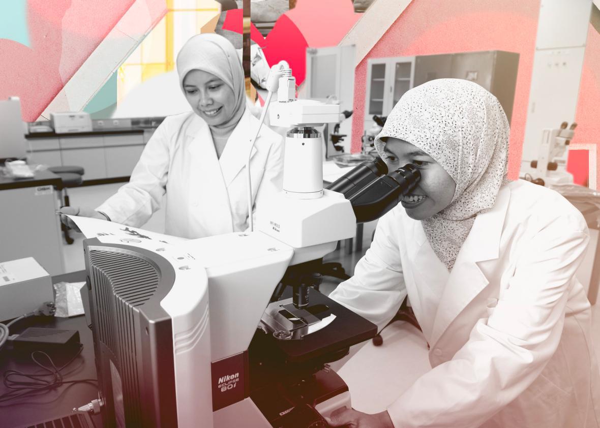 The STEM paradox: Why are Muslim-majority countries producing so many ...