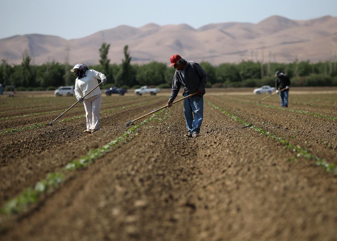 The California drought’s lessons for food security.