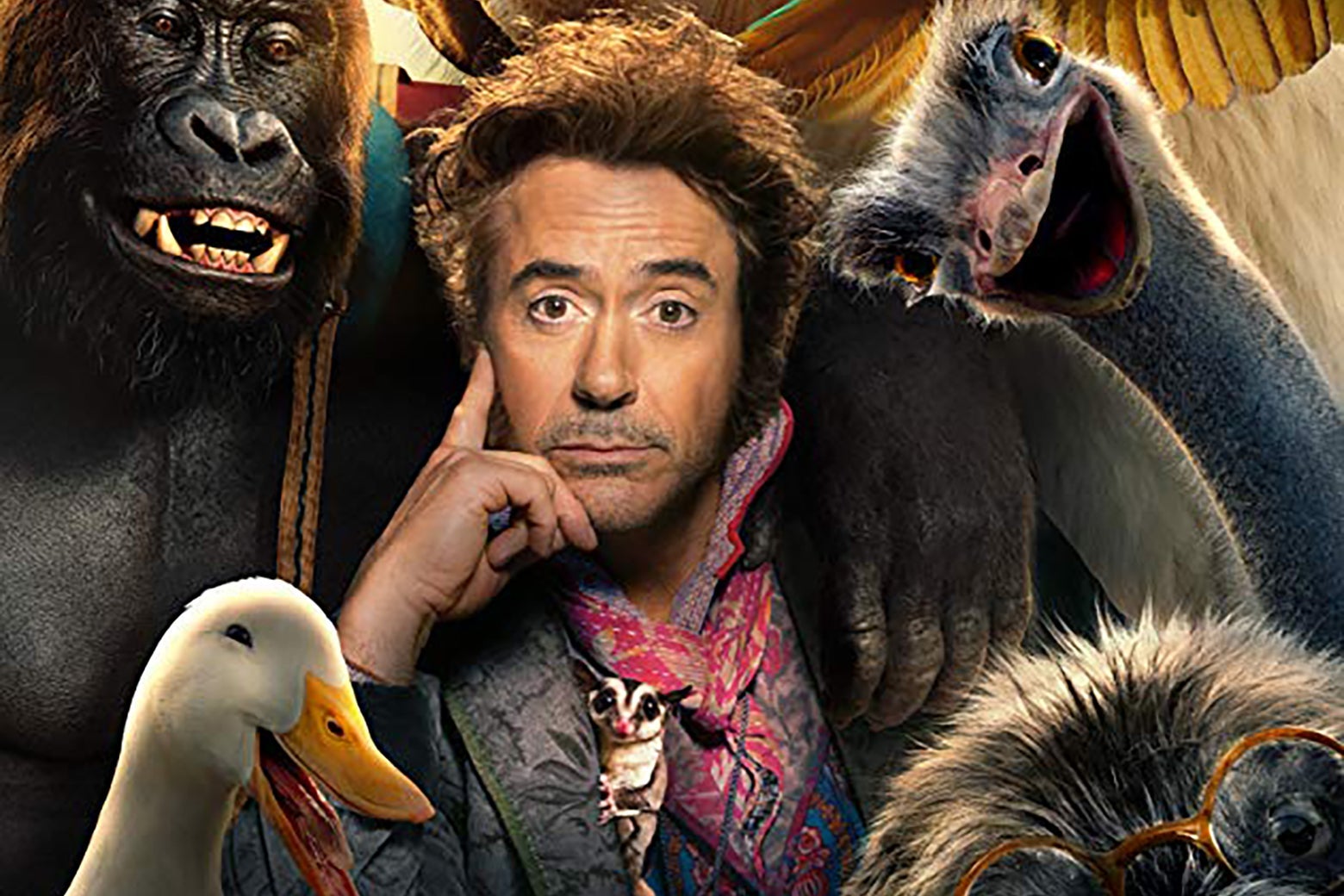 Dolittles, ranked from worst to best.