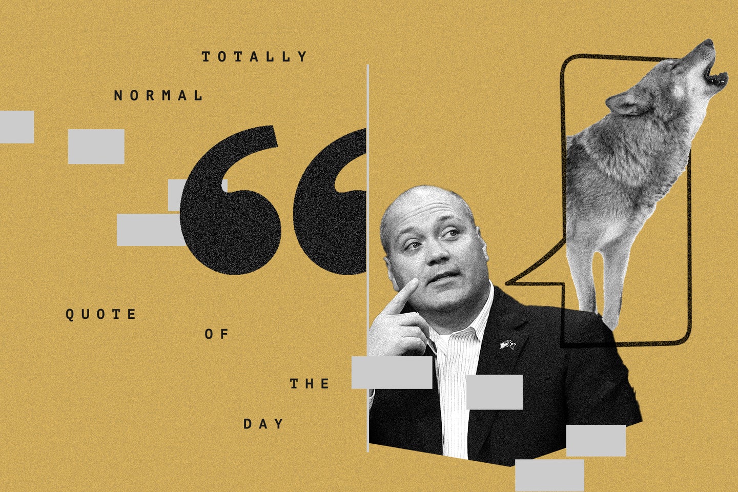 Michael Haley meme tweet to Donald Trump: Nikki Haley’s husband snipes ...