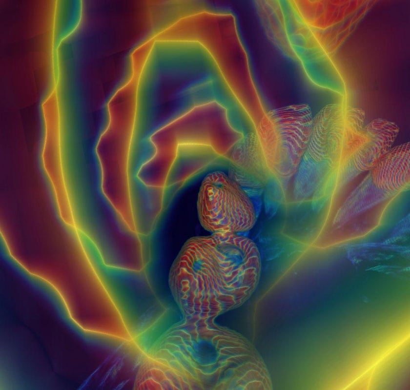 Dr. Kai-hung Fung: Using CT scans of the human body to create fine art ...