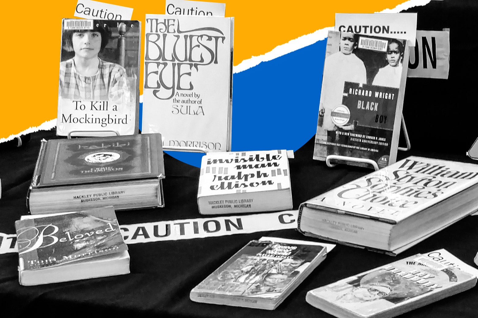 Can Librarians Stop Book Bans?