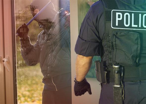 Dumb criminals, 2014: Meet the men who set the gold standard for ...