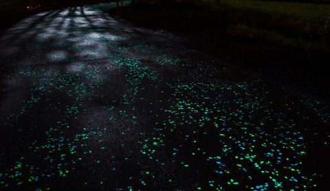 Van Gogh-Roosegaarde bike path based on Van Gogh's Starry Night glows ...