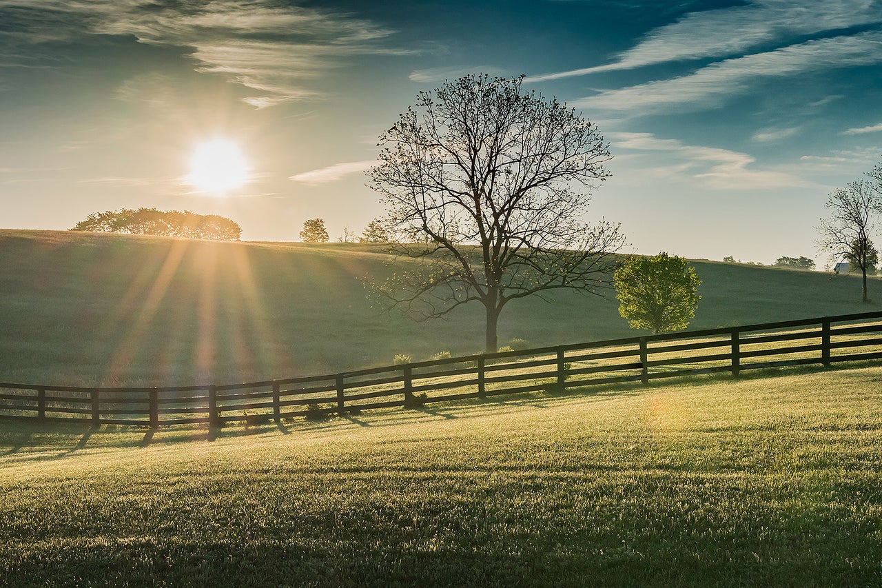 Wendell Berry: A review of The Need to Be Whole.