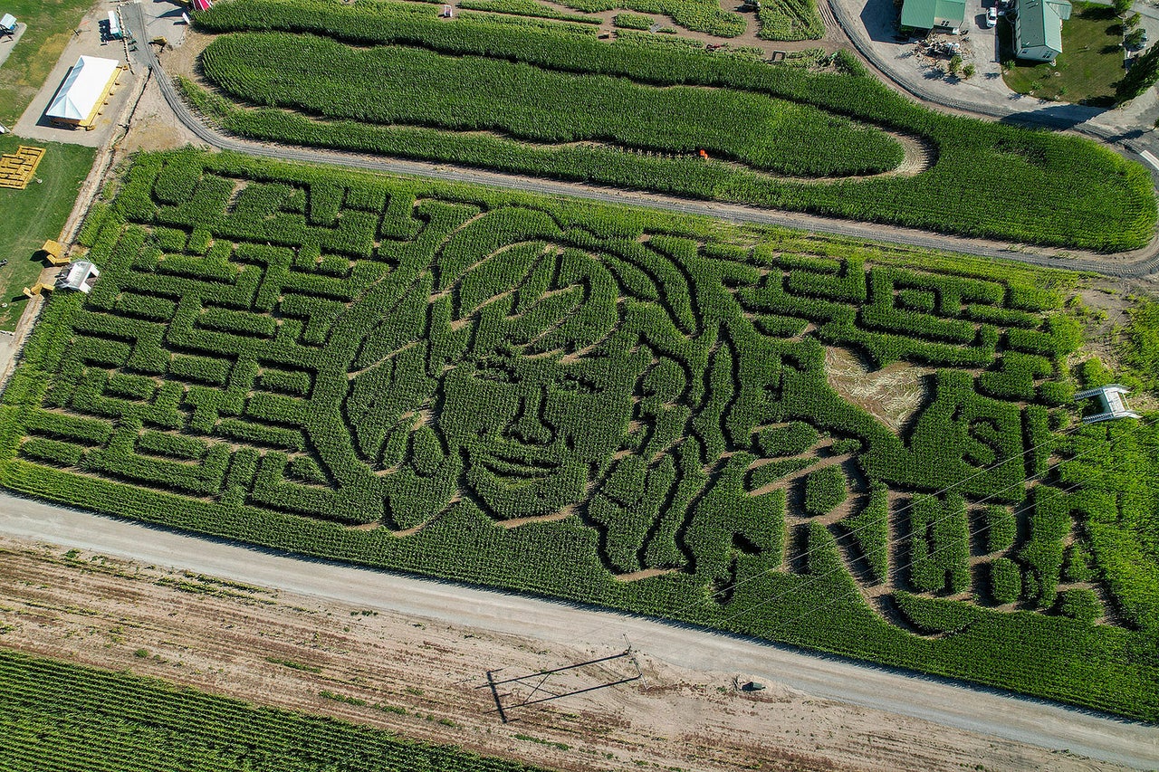 Reba McEntire corn maze: Designer from MAiZE explains how corn mazes are made.