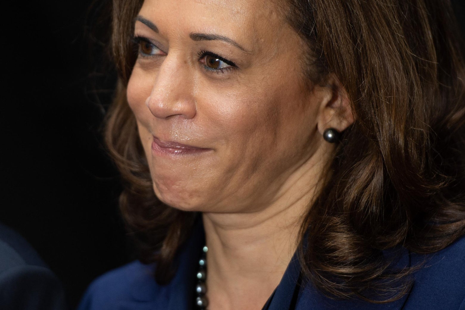Kamala Harris wants to give middle class families $500 every month.