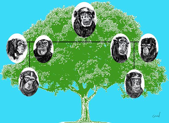 Fight over kin selection on its 50th anniversary: W.D. Hamilton’s Aunt ...