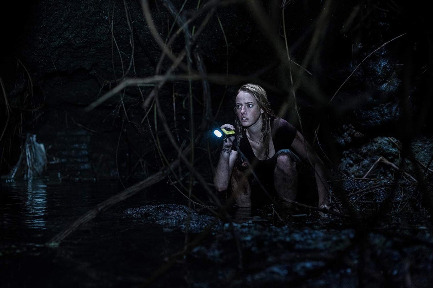 Crawl review: Giant-alligator movie is a throwback to a simpler era.