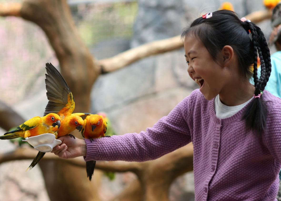 Gregg Easterbrook on his optimistic book, It’s Better Than It Looks.