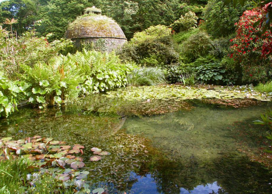 The history of the Dovecote is all about birds and status.
