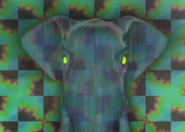 Animal LSD experiments: Elephants, dolphins, fish given hallucinogenic ...
