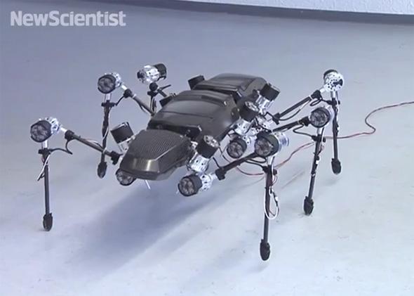 Stick bug robot created by researchers at Bielefeld University in Germany.