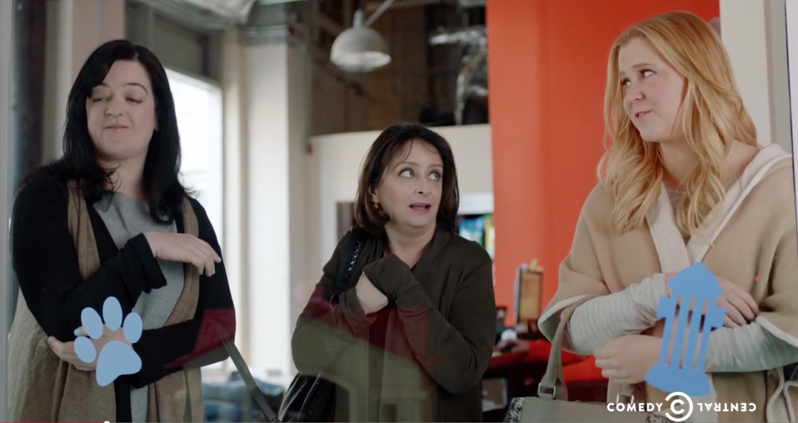 Amy Schumer “Doggy Daycare” sketch spoofs self-righteous rescue dogs ...