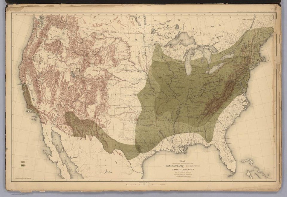 History of American Forests: Tree maps made for 1884 census.