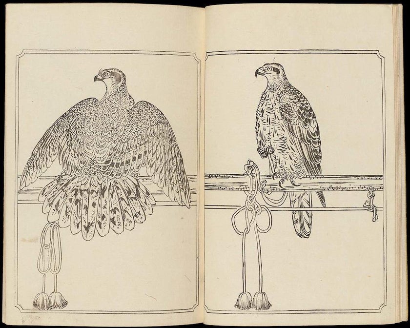 History of falconry in Japan: Woodcuts from the 19th century.