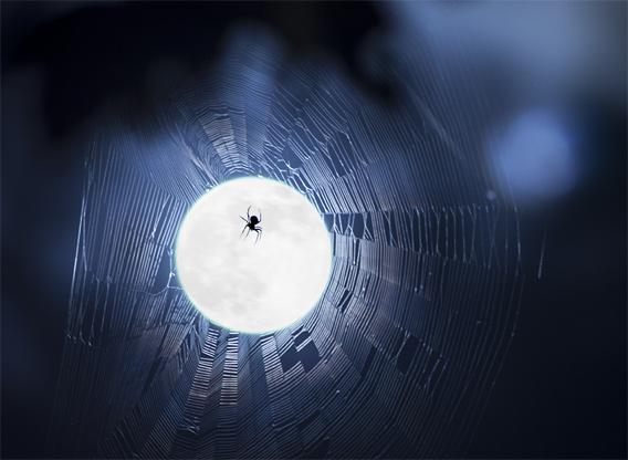 Astrophoto: Uluru, spiderweb, and the Moon.