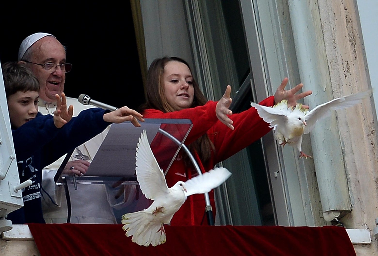 Pope Francis: Peace doves are attacked by seagull and black crow.