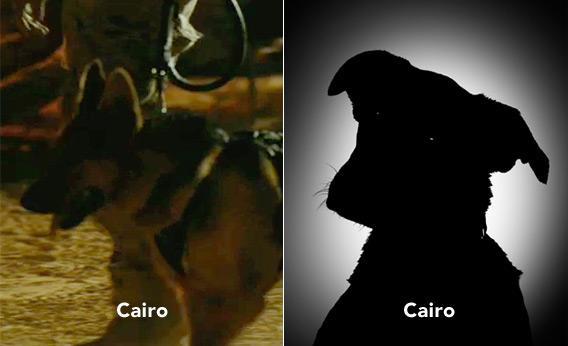 Zero Dark Thirty Fact Vs Fiction Who Are The Real Life Inspirations