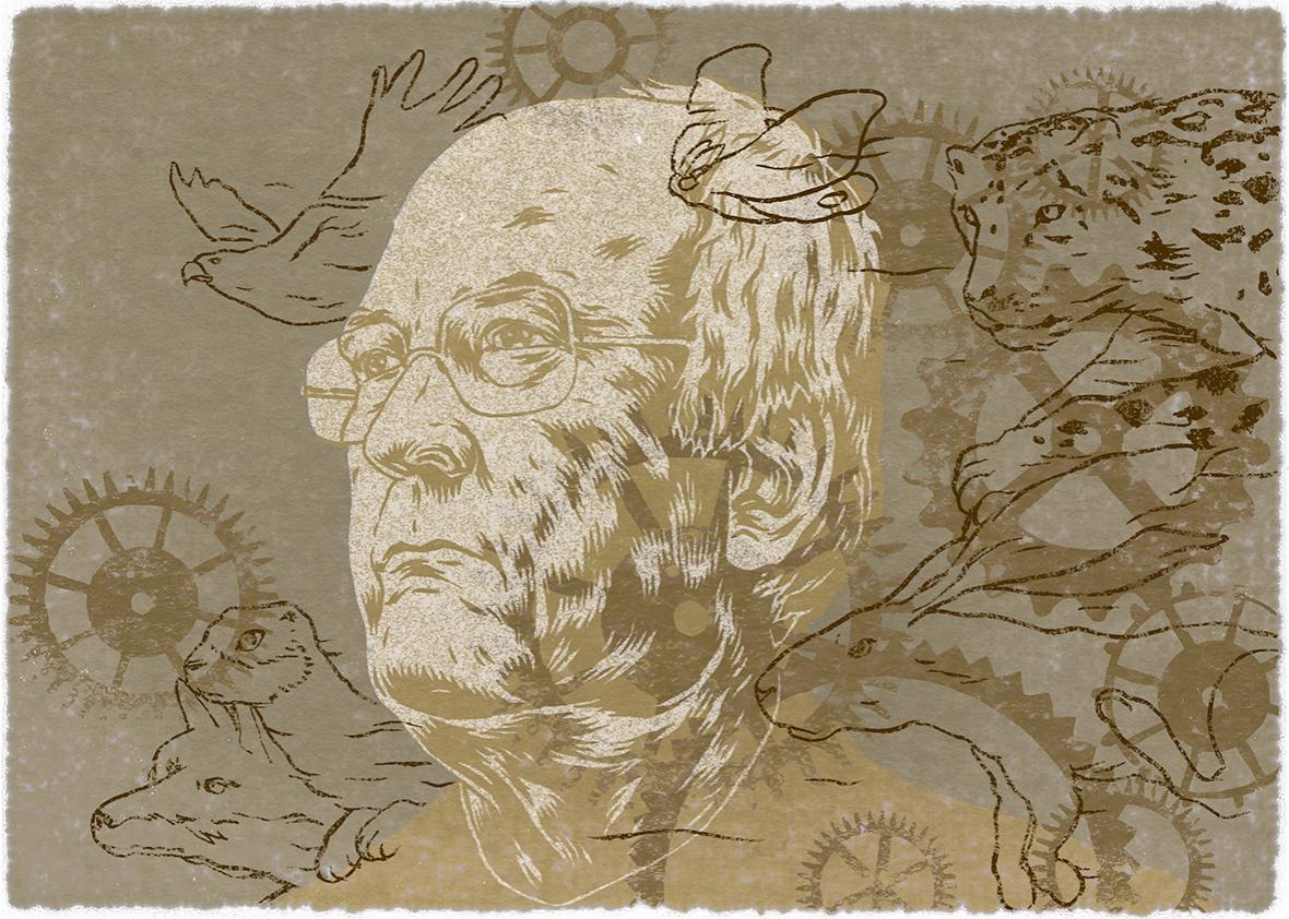 Philip Pullman interview: The Golden Compass author on young adult literature, William Blake ...