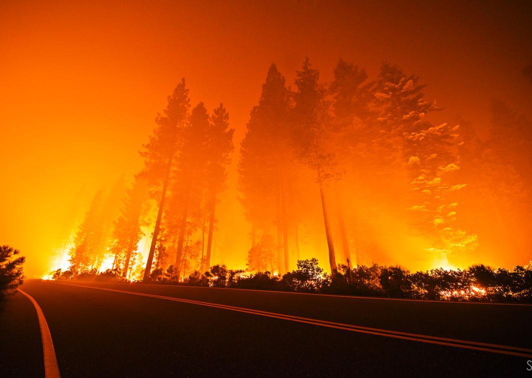 Stuart Palley California wildfire photos: Photographer captures ...