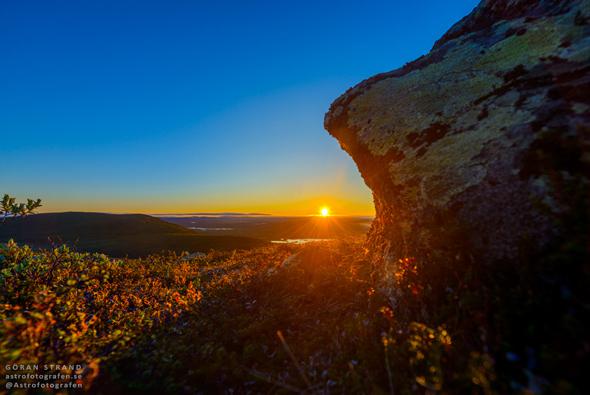 Why does the Sun never set at the north pole in the summer?