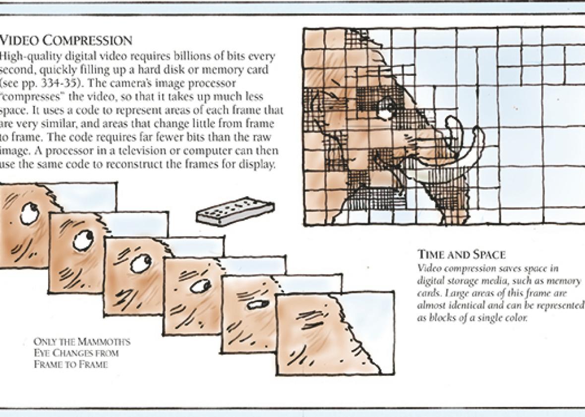The Way Things Work Now review and interview with David Macaulay.