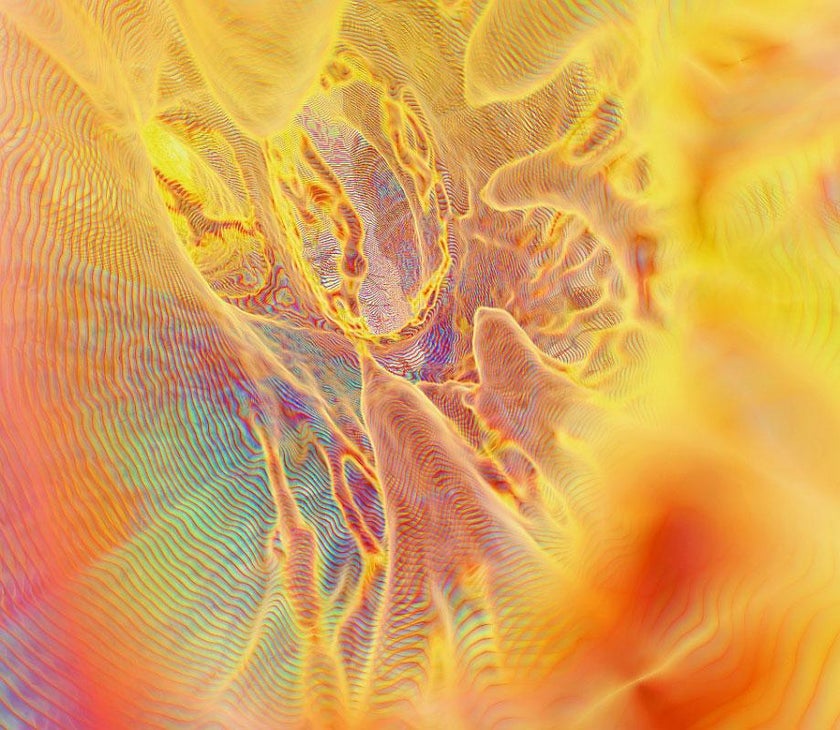 Dr. Kai-hung Fung: Using CT scans of the human body to create fine art ...