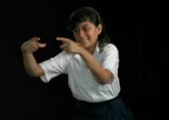 Children not exposed to language: Nicaraguan Sign Language, Wild ...