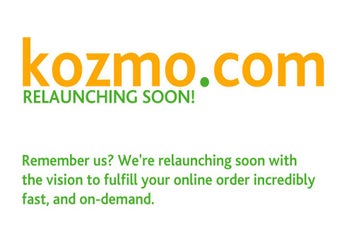 Kozmo.com is back: The greatest business idea in American history is ...