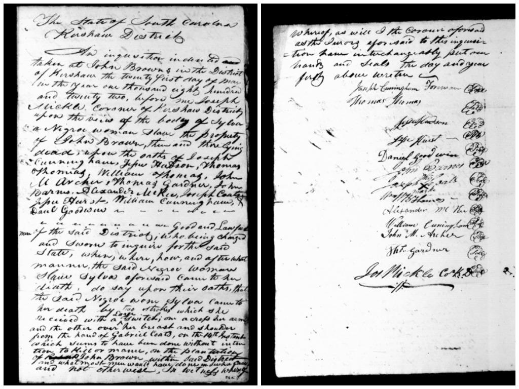 History of the 19th-century South in digitized coroners' reports that ...