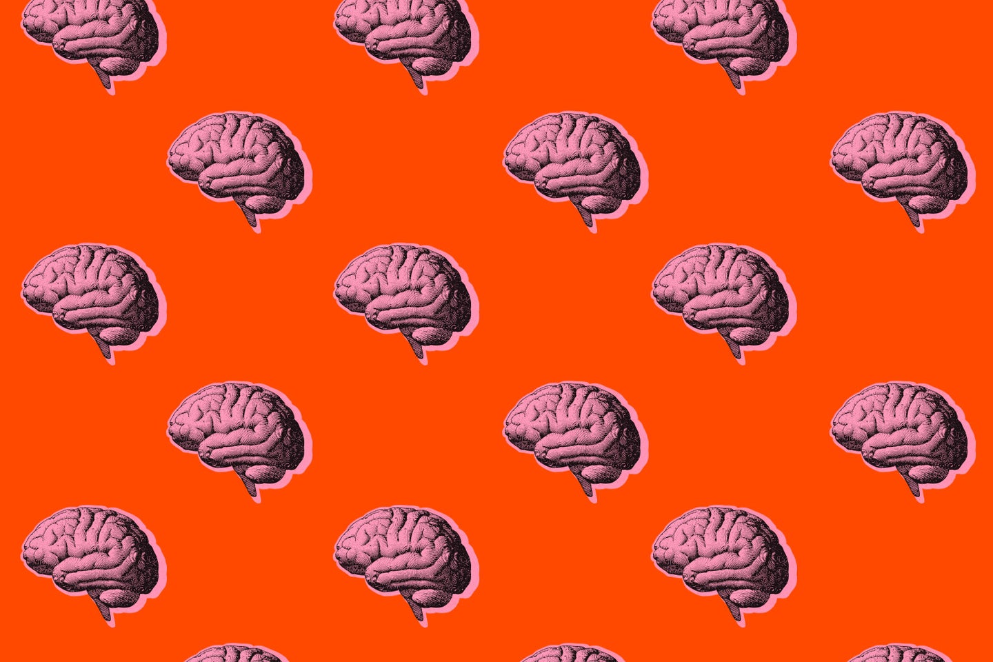 The concept of the brain-uploading company Nectome has a few flaws.