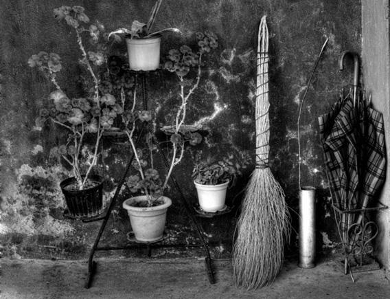 Broom history: How it became flat.