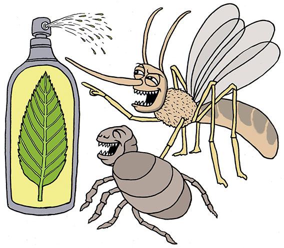 Insect repellents’ EPA approval: Evaluating DEET, picaridin, lemon ...