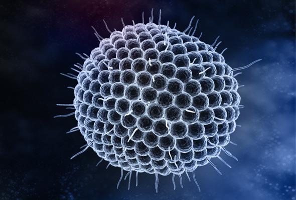 Chicken pox parties threaten the lives of children.