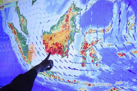 Indonesia’s fires: an environmental catastrophe and a climate change ...