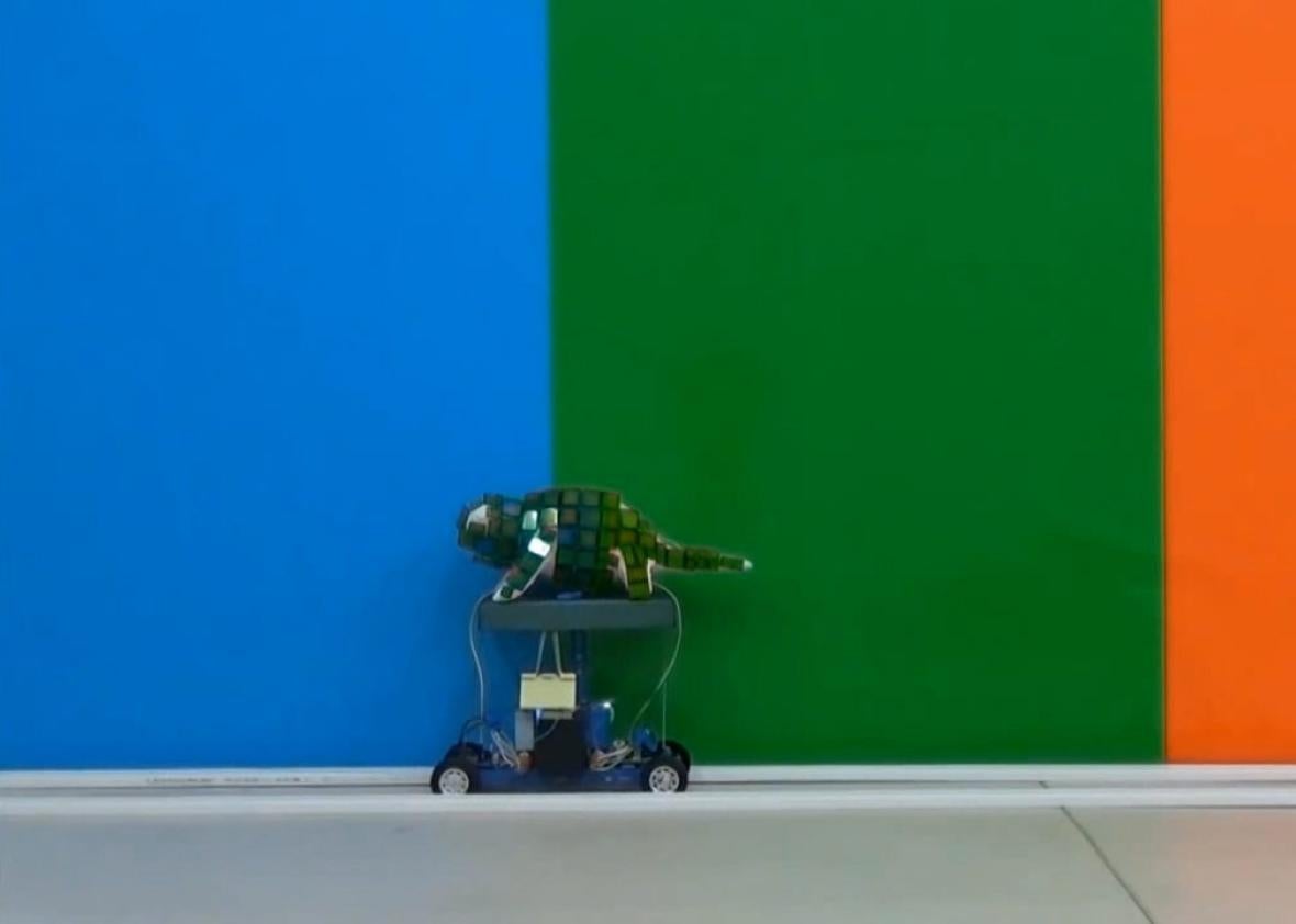 Chameleon robot could create immersible camouflage system (VIDEO).