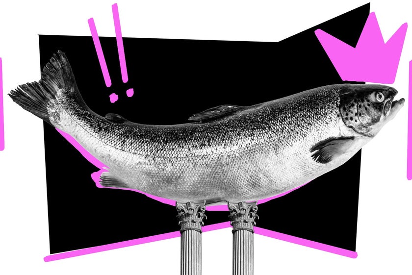 Justice Alito fishing trip: Calling this an ethics scandal misses the ...