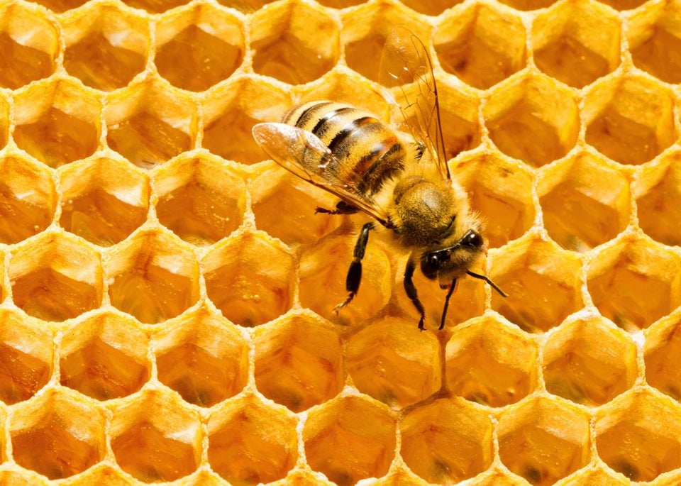 Hexagons are the most scientifically efficient packing shape, as bee ...
