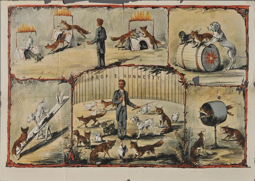 Circus posters: Some bygone animal acts