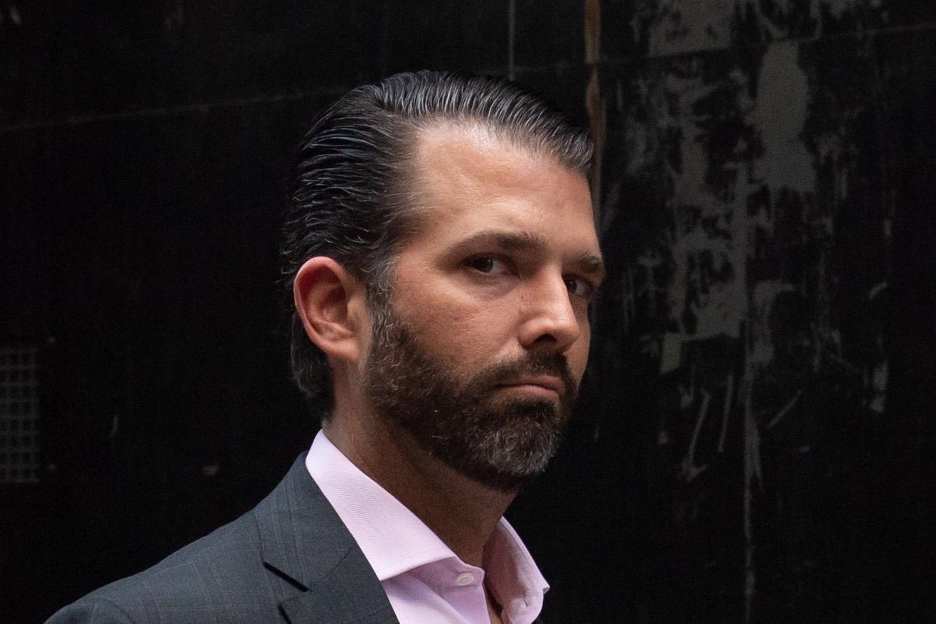 In new book, Triggered, Donald Trump Jr. tries and fails to prove that ...